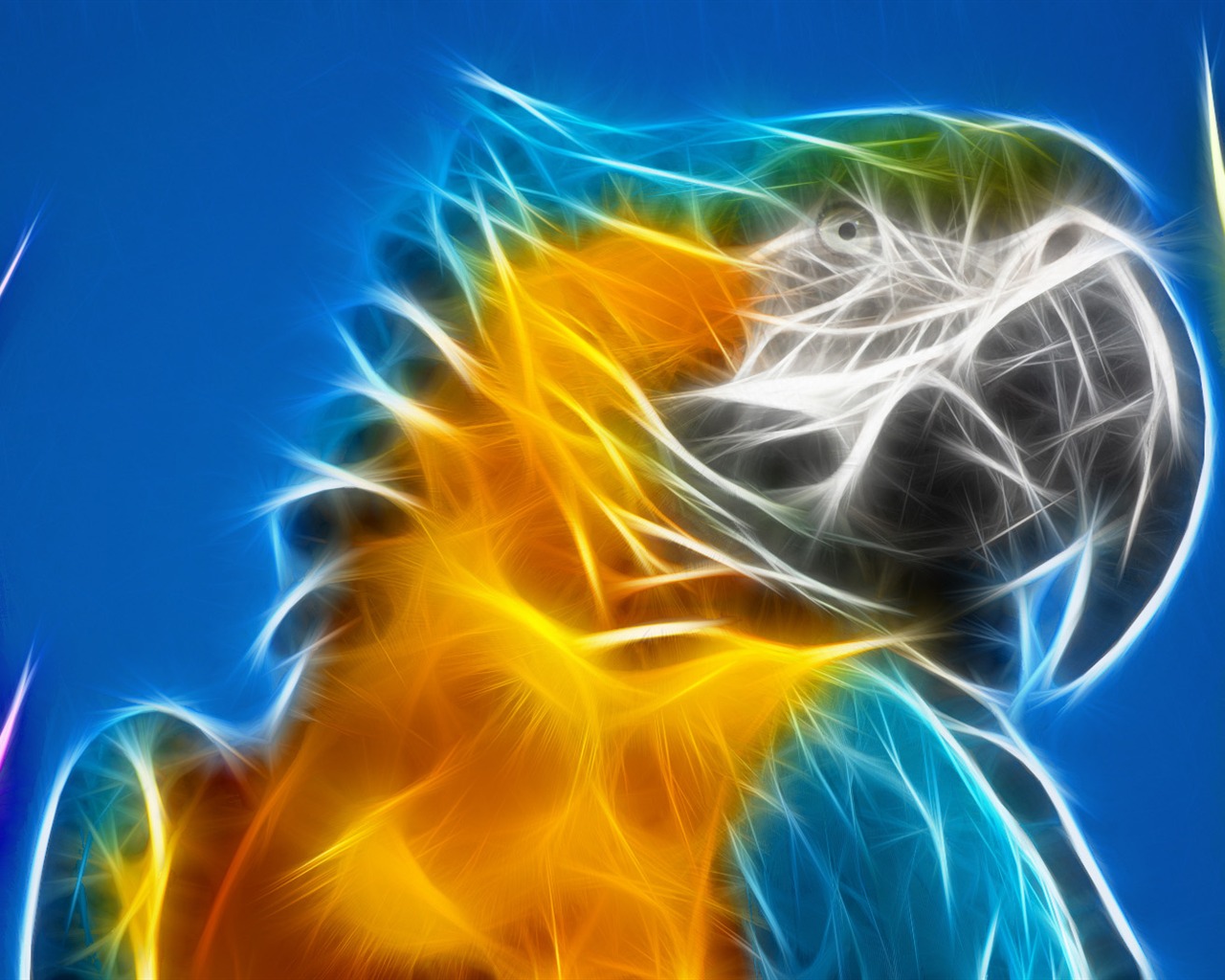 Cool Tier Wallpaper Licht 5 1280x1024 Wallpaper Herunterladen Cool